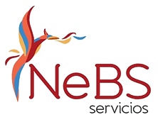 Bienvenido al Sistema NeBS